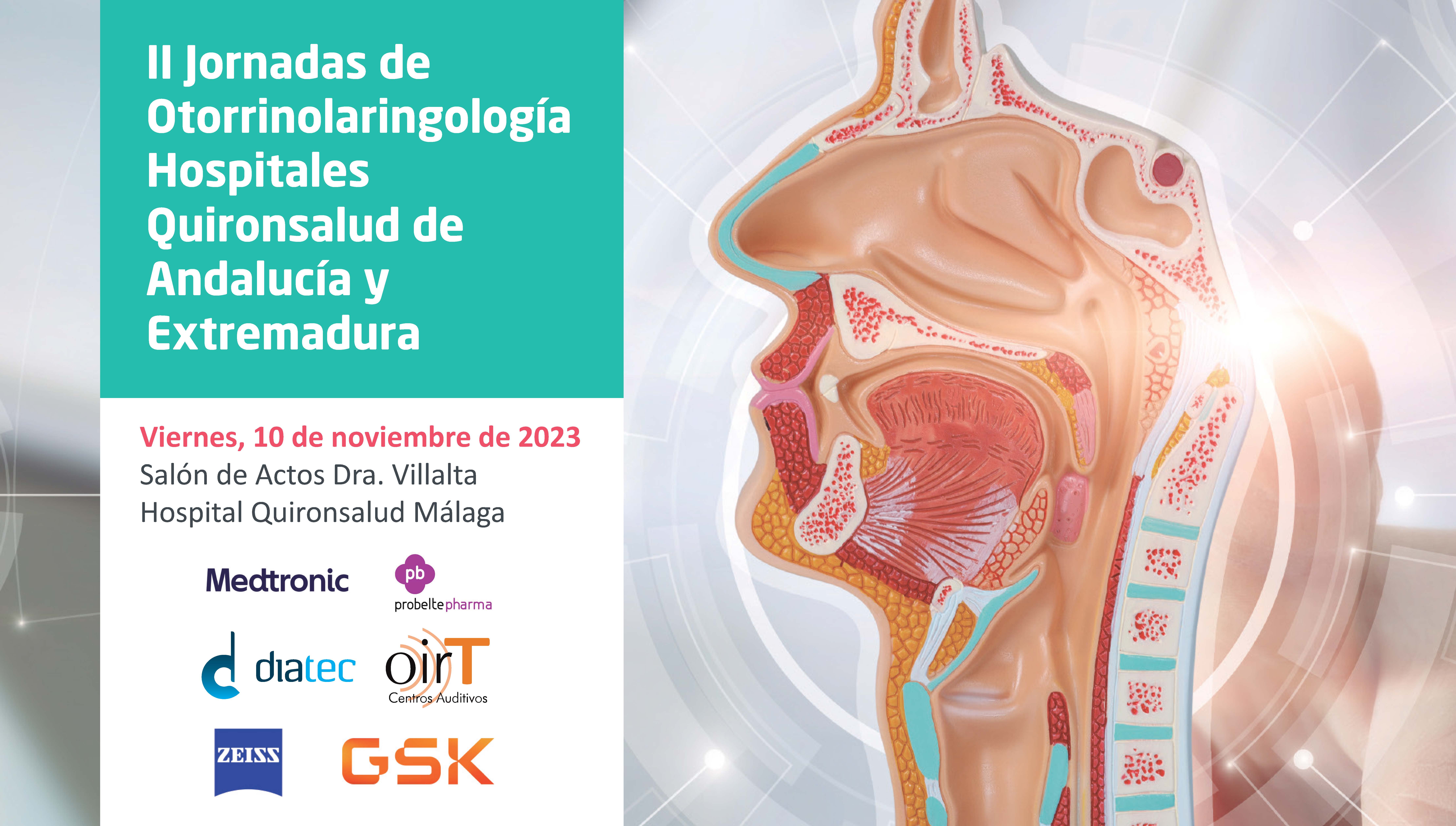 Más de 30 especialistas de otorrinolaringología de Quirónsalud se reúnen en una jornada ...